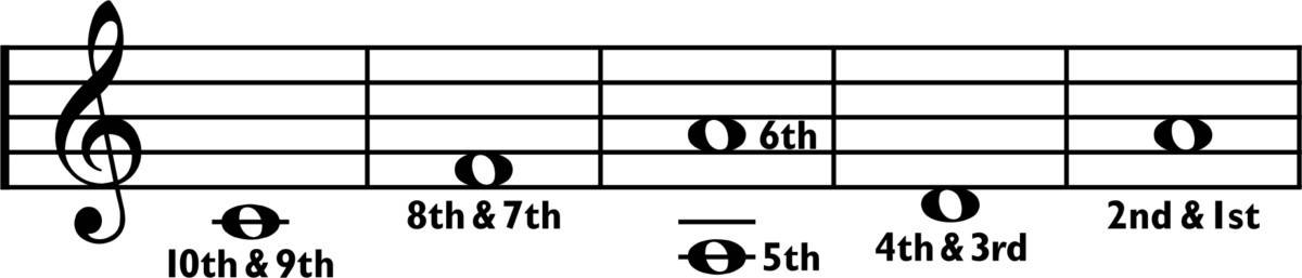 Ronroco Tuning: How To Tune a Ronroco – Fret Expert