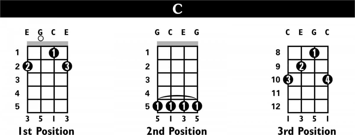 A Guide to Playing 5 String (Bluegrass) Banjo Chords – Fret Expert