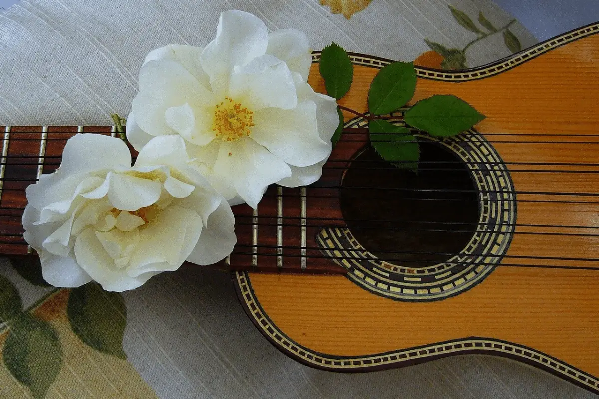 Where to Buy a Charango or Ronroco For Sale – Fret Expert