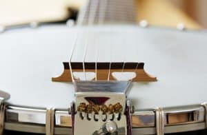 The Different Types of Banjos: Complete Guide – Fret Expert